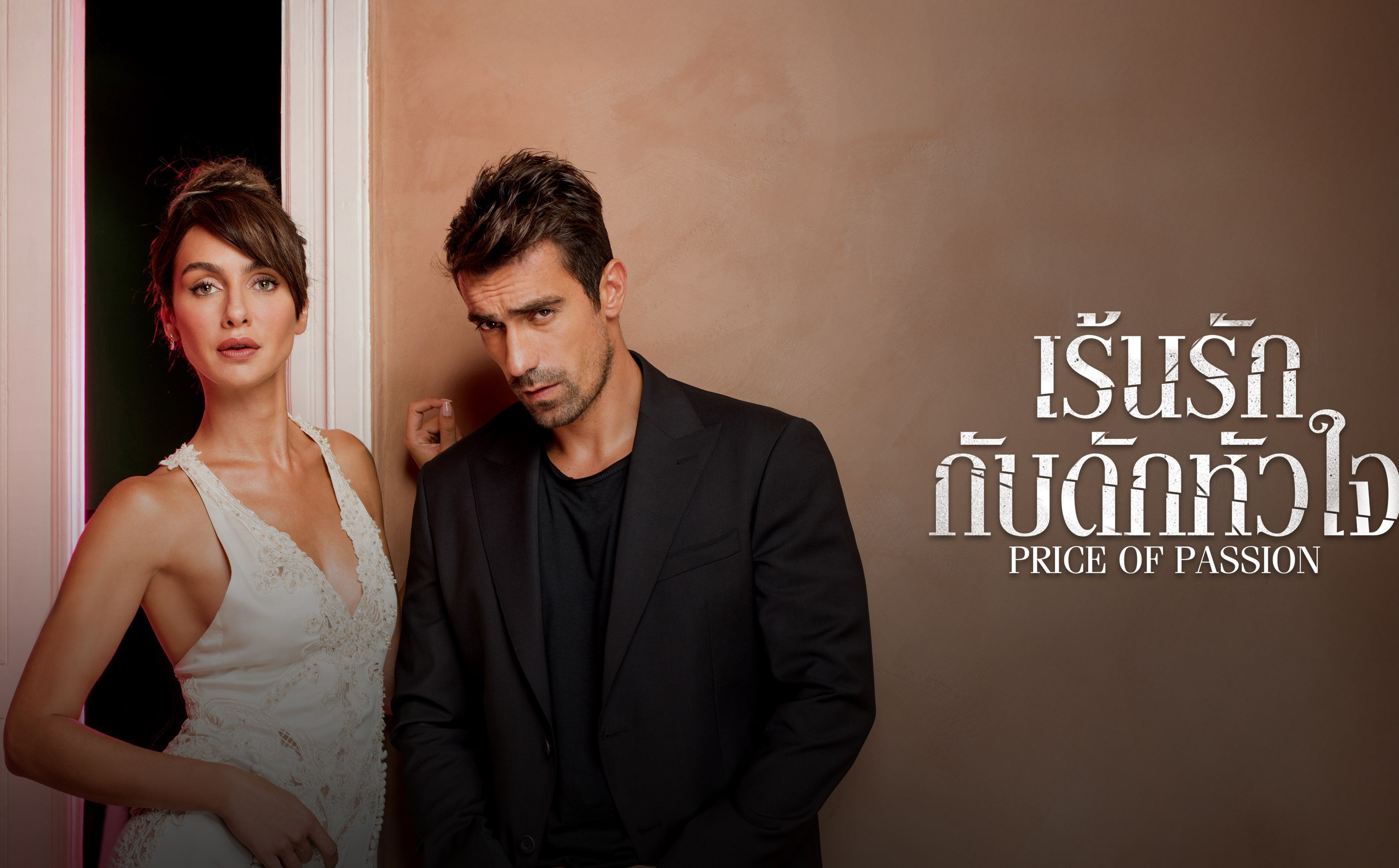 ดูซีรีส์ตุรกี Price Of Passion เร้นรัก กับดักหัวใจ (2017) พากย์ไทย ซับไทย